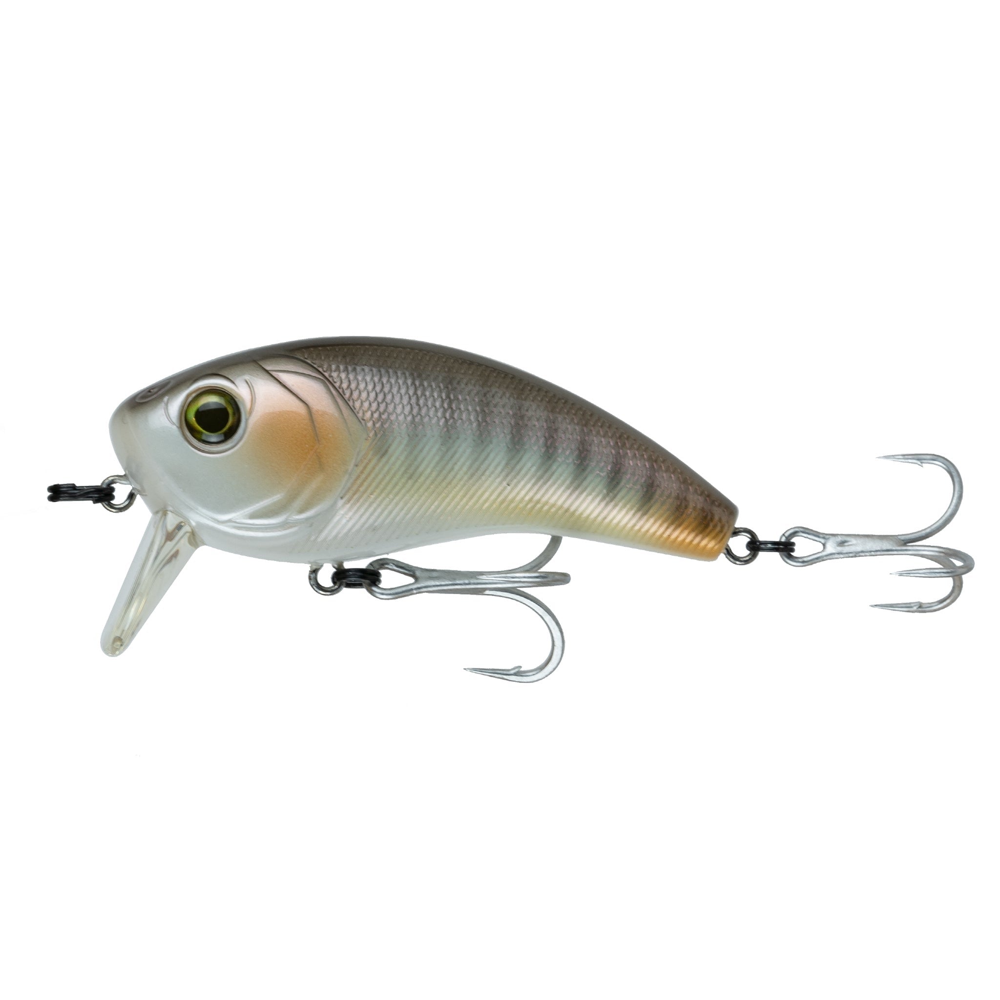 6TH SENSE Movement 80 Wake Saltwater – Rambo Outdoors